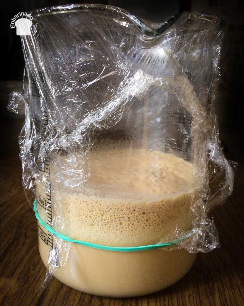 Talvina masa madre dulce - enharinado.com